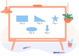 What is Plane Geometry? Definition, Types, Examples, Facts