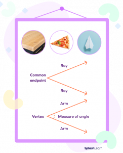 What is Plane Geometry? Definition, Types, Examples, Facts