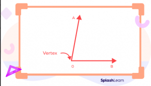 What is a Protractor? Definition, How to Use, Draw, Examples