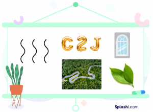 What are Types of Lines? Definition, Diagram, Examples, Facts