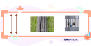 What are Types of Lines? Definition, Diagram, Examples, Facts