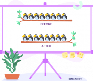 What is Additive Identity Property? Definition, Examples, Facts
