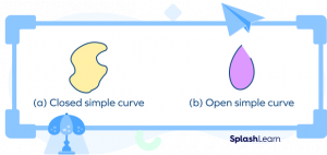 What Is a Curve? Definition, Types, Shapes, Examples, Facts