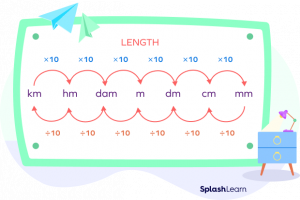 What Is a Decimeter? Units, Definition, Solved Examples, Facts