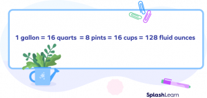What Is a Pint in Math? Definition, Types, Examples, Facts