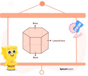 Decagonal Prism – Definition, Volume, Parts, and Diagrams