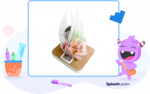 What Does Kilogram Mean in Math? Definition, Examples, Facts