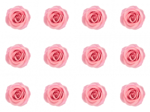 What is Row in Math? Definition, Examples, Uses, Facts