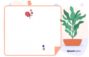 What is Curved Line? Definition, Types, Examples, Facts