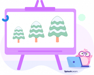 What is Sort in Maths? Definition, Examples, Facts