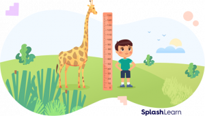 What is Measurement? Definition, Types, Scale, Units, Examples