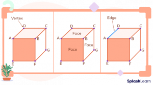 Vertices, Faces and Edges - Definition, Example