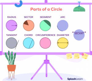 Parts of a Circle: Definition, Formula, Examples, Facts