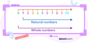 Properties of Whole Numbers: Definition, Examples, Chart, Facts