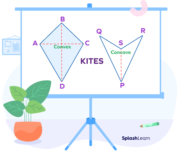 Properties Of A Kite Definition Diagonals Examples Facts