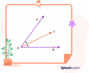 Construct an Angle Bisector with a Compass: Steps, Examples