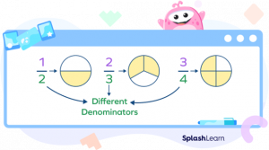 What is Denominator? Definition, Types, Examples, Facts