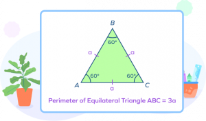 Perimeter of a Triangle: Definition, Formula, Examples, FAQs