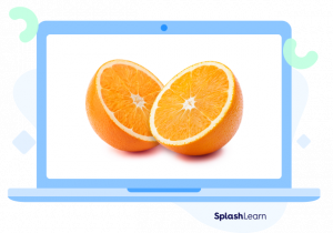 Hemisphere Shape: Definition, Formula, Properties, Examples