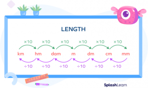 How Long Is a Meter? Definition, Conversion, Examples