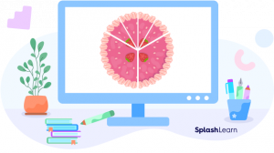 What Are Unequal Parts in Math? Definition, Examples, Facts