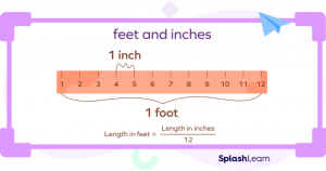 Inches to Feet (in to ft) Conversion: Method, Table, Example