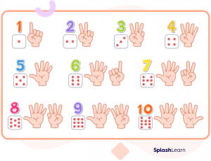 What Is Number Sense in Math? Definition, Examples, Facts