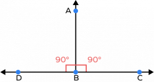 180 Degree Angle - Definition, Construction, Examples, FAQs