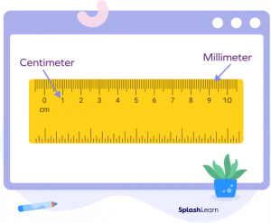What Is a Meter Stick? Units, Uses, Facts, Examples