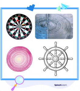 Concentric Circles - Definition, Equation, Facts, Examples