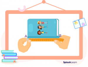 What Is a Meter Stick? Units, Uses, Facts, Examples