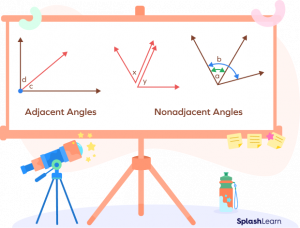 What Are Adjacent Angles? Definition, Properties, Examples, Facts