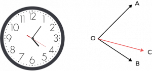 What Are Adjacent Angles? Definition, Properties, Examples, Facts