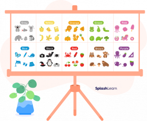 What Is Classification in Math? Definition, Examples, Facts