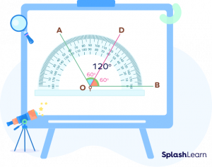 Construct an Angle Bisector with a Compass: Steps, Examples