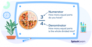 What is Denominator? Definition, Types, Examples, Facts