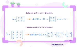 Area of Triangle in Determinant Form - Examples, FAQs
