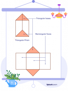 Base Area of a Triangular Prism - Definition, Examples, FAQs