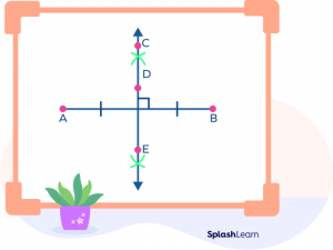 Segment Bisector - Definition, Types, Examples, Facts, FAQs