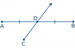Segment Bisector - Definition, Types, Examples, Facts, FAQs