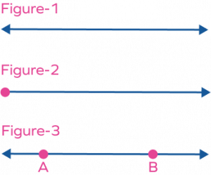 Segment Bisector - Definition, Types, Examples, Facts, FAQs