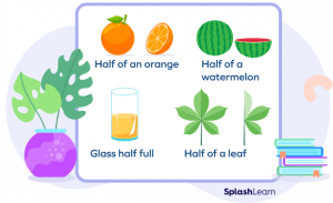 What are Haves in Math? Definition, Fractions, Examples