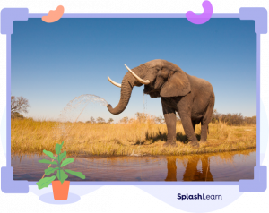 What is Ton? Definition, Symbol, Usage, Examples, Facts