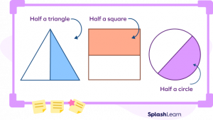 Bisect: Meaning, Formula, Examples, Facts