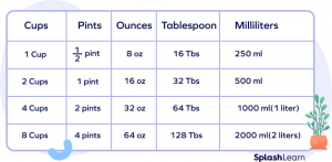 What is Cup? Definition, Examples, Measurement, Facts