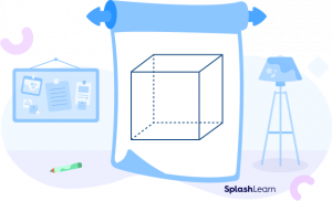 What is Lateral Face? - Definition, Examples, Facts