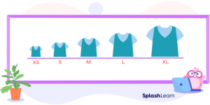What is Size? Definition Facts & Example