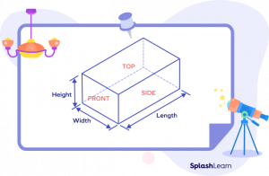 What is Size? Definition Facts & Example