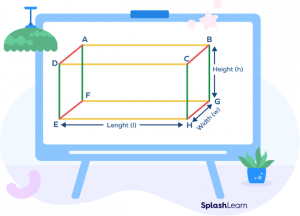 Cuboid - Definition, Shape, Formulas, Properties, Examples