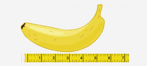 What is a Linear Measurement? Definition, Units, Examples, Facts